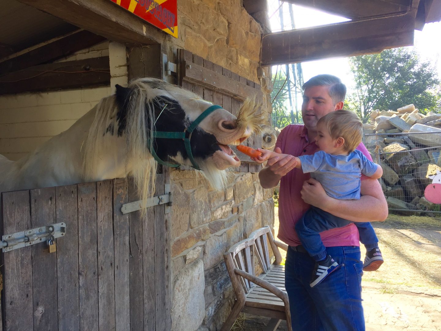 Lancaster Farm Park, Oldham - Review with a Toddler
