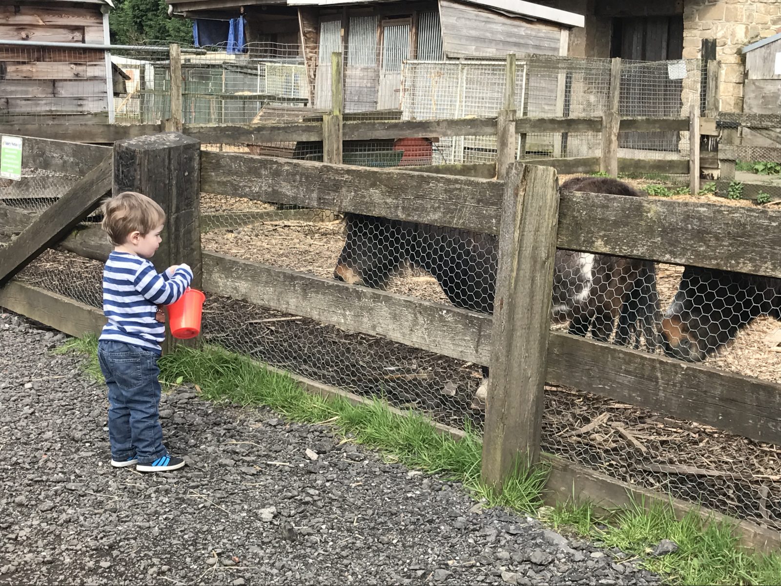 Lancaster Farm Park, Oldham - Review with a Toddler